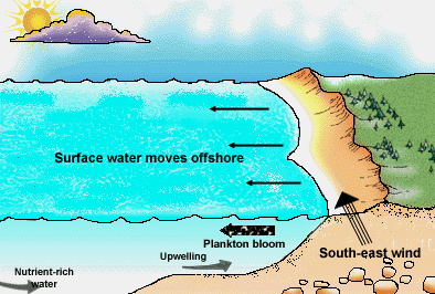 Upwelling and Downwelling | Ocean Surface Currents | The Atmosphere and ...