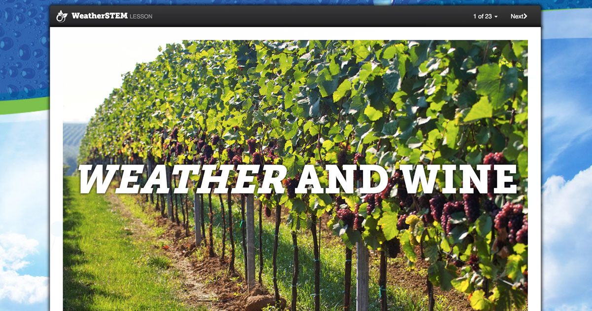 The Life Cycle of a Grape | Weather and Wine